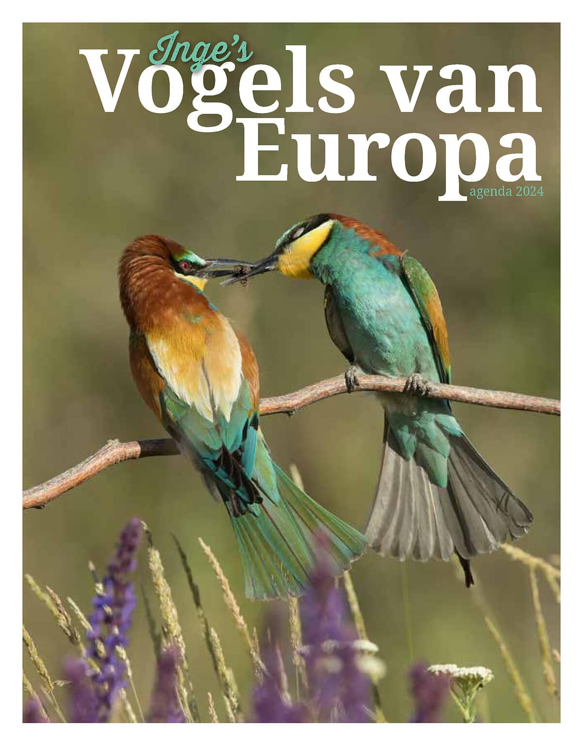 Inge's Vogels van Europa Agenda 2024 - Vogels Nederland